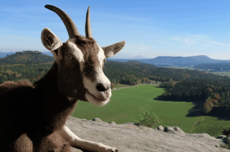 Climb the mountains together with goats - Breakdown of the Tour Itinerary