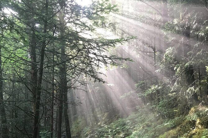 Clingmans Dome Hike - FAQ