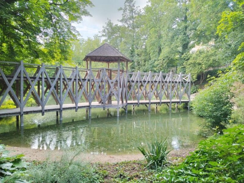Clos Lucé: Da Vinci's Castle Private Guided Tour with Ticket - Analyzing the Value