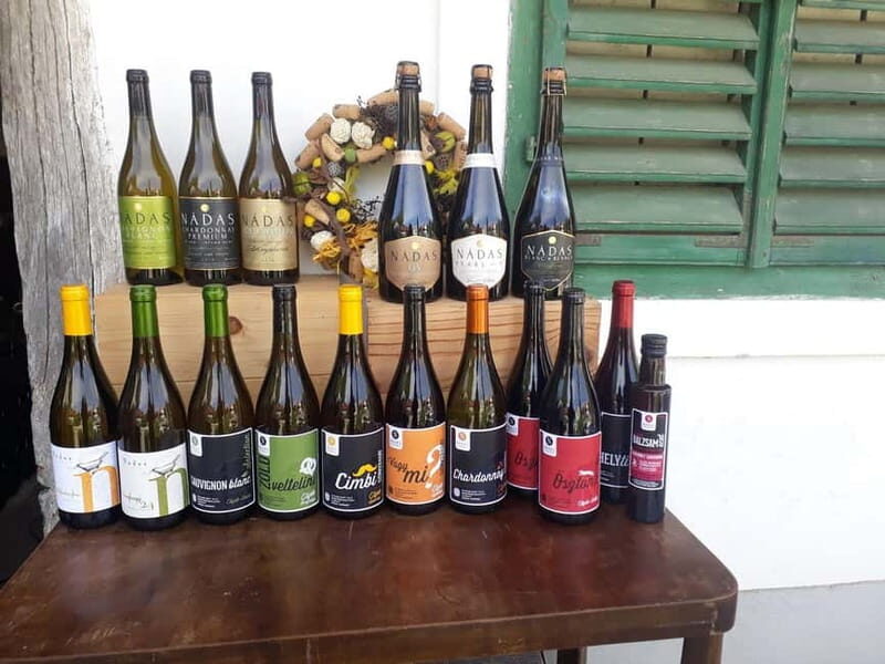 Close to Budapest:Wine Tasting in a Small Cozy Family Winery - Introducing the Experience: Realistic, Relaxed, and Authentic