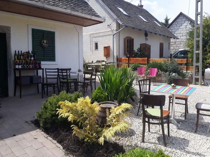 Close to Budapest:Wine Tasting in a Small Cozy Family Winery - Detailed Breakdown of the Tour: What You Can Expect