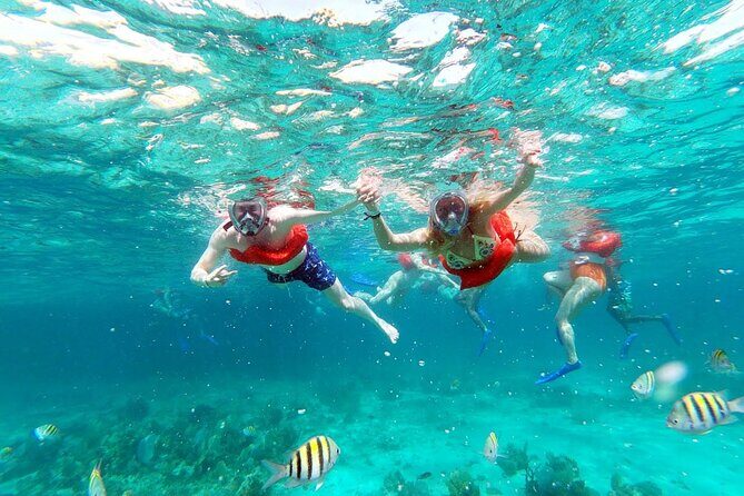 Clothing Optional Catamaran Cruise Couples Only - Cruising Along the Coast & Megasights