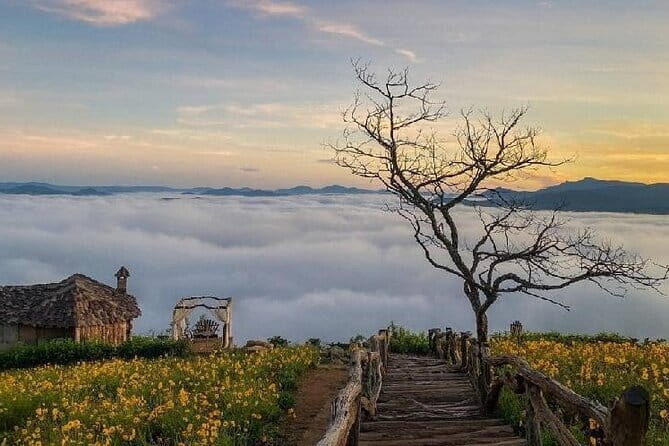 Cloud Hunting and The Glow of Dawn Tour in Da Lat - An In-Depth Look at the Cloud Hunting Tour