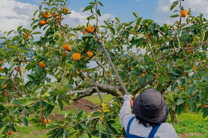 Cloud Hunting and The Glow of Dawn Tour in Da Lat - Final Thoughts