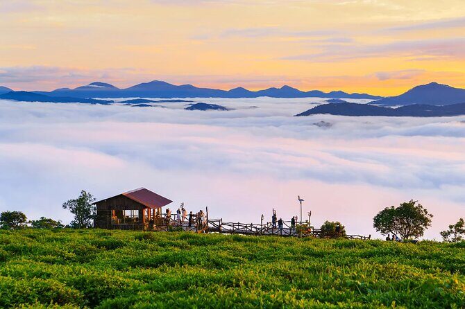 Cloud Hunting - Experience Dalat Special Products - Key Points