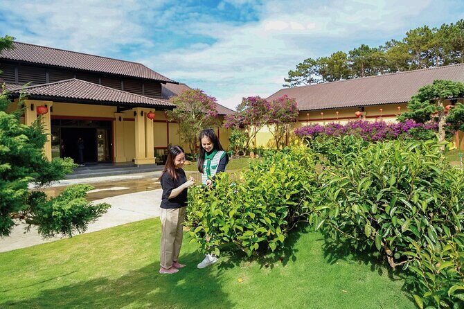 Cloud Hunting - Experience Dalat Special Products - Practical Details and Tips