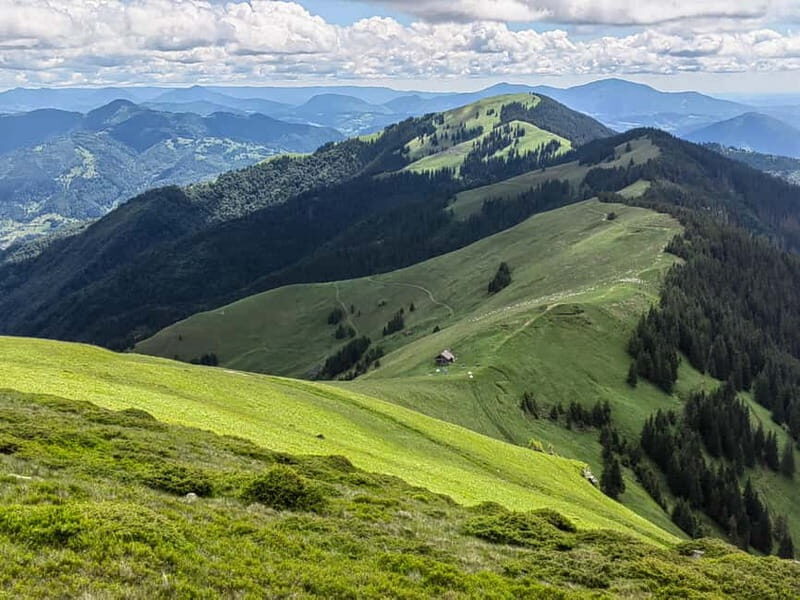 Cluj Napoca: Rodnei Mountains Full-Day Guided Hiking Tour - Optional Cultural Stops: Wooden Churches of Maramure