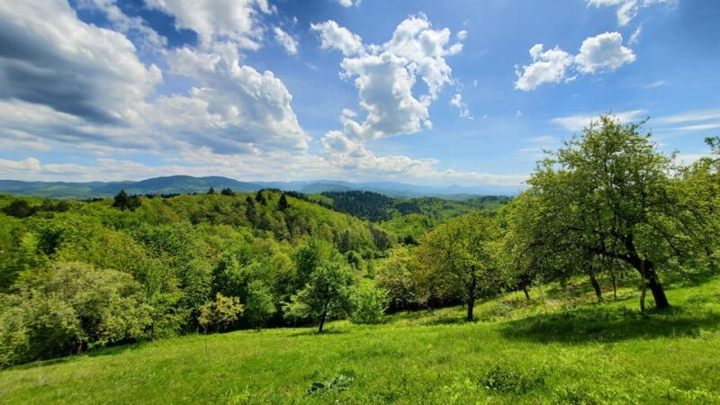 Cluj to Rosia: Day Trip to Ferrata and pittoresque country - An Introduction to the Experience