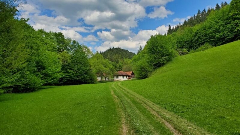 Cluj to Rosia: Day Trip to Ferrata and pittoresque country - Details on Pricing and Value