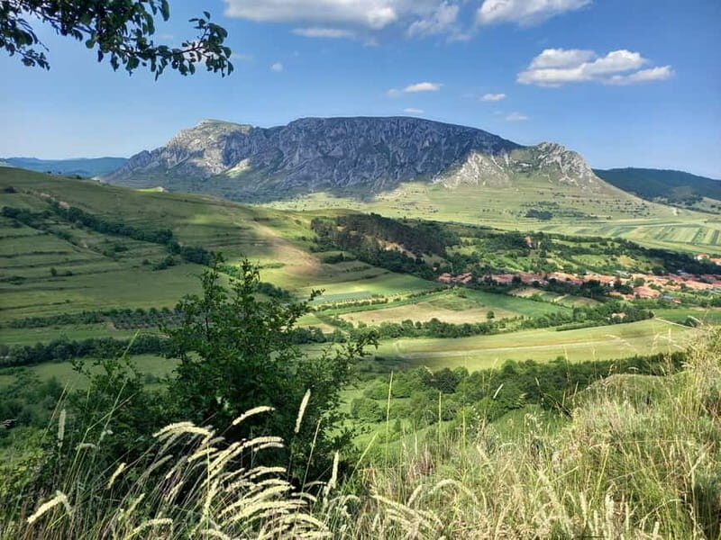 Cluj: Turda Salt Mines, Rimetea, and Coltesti Fortress Tour - Authenticity and Local Flavor