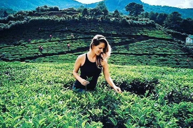 CMB airport to kandy - Key Points