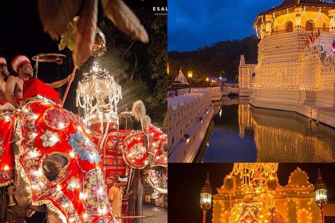 CMB airport to kandy - An In-Depth Look at the Experience