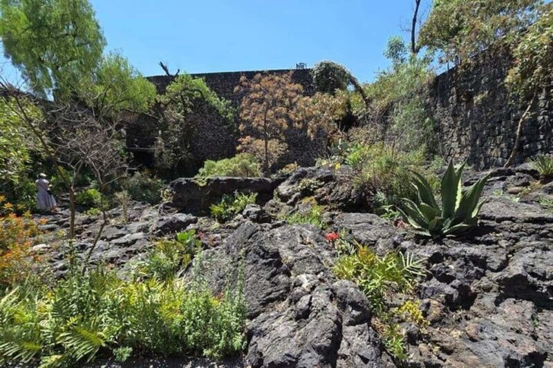 CMDX: Luis Barragan Legacy Exclusive Tour at Casa Pedregal - Price, Duration, and Accessibility