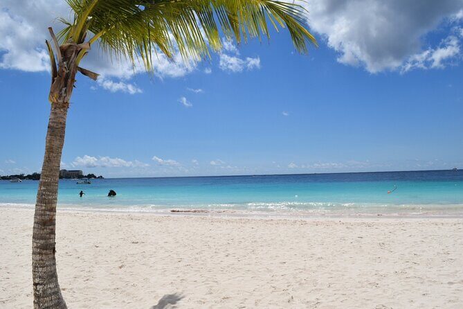 Coach charter in Barbados for 3 to 4 hours for up to 20 persons - What to Expect from the Transportation