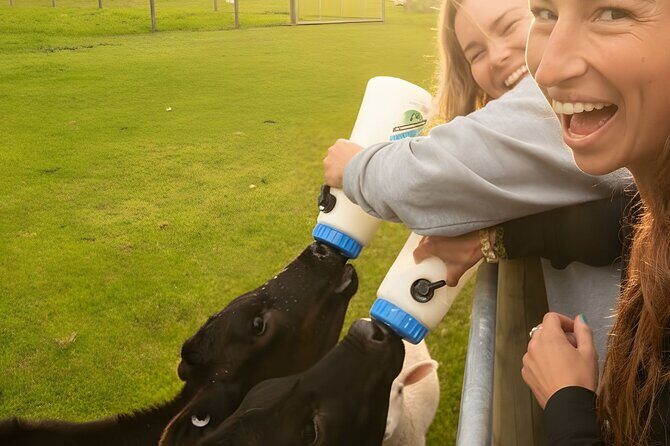 Coach Farm Tour and Milford Sound Nature Cruise from Queenstown - Introduction