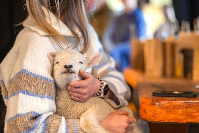 Coach Farm Tour and Milford Sound Nature Cruise from Queenstown - Final Thoughts