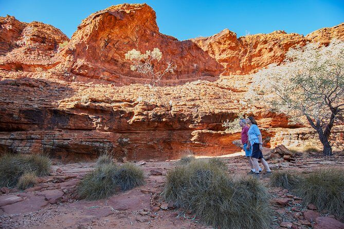 Coach Transfer from Ayers Rock (Uluru) to Kings Canyon - Who Will Love This Tour?