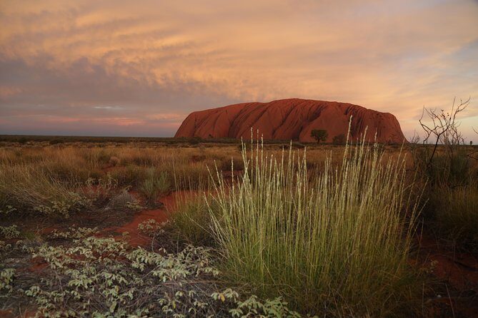 Coach Transfer from Kings Canyon Resort to Ayers Rock (Uluru) - Pricing and Value