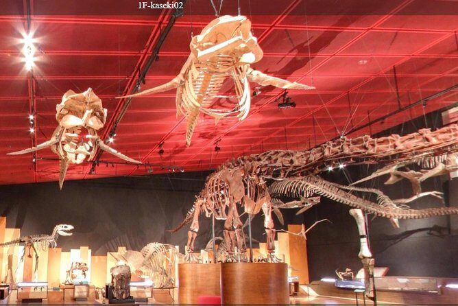Coal & Fossil Museum Admission Ticket - The Experience: A Deep Dive into the Museum