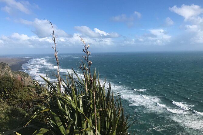 Coast and Rainforest Eco-Tour from Auckland with Picnic Lunch - Final Thoughts: The Value of this Unique Kiwi Experience
