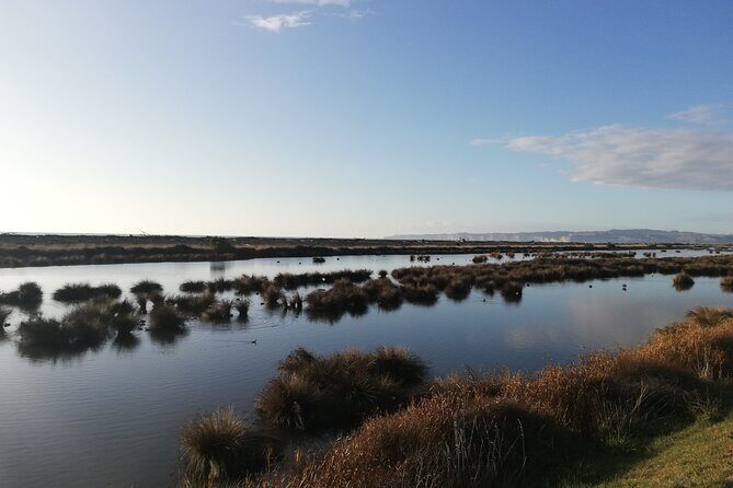 Coast to Vineyards Self-Guided Scenic Cycle Tour from Napier - Key Points