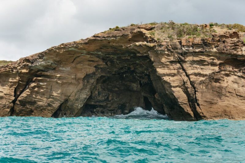 Coastal 2.5-hour Adventure Boat Tour from Newcastle - Exploring the Itinerary: What to Expect on the Cruise