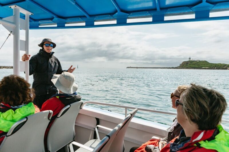 Coastal 2.5-hour Adventure Boat Tour from Newcastle - Authentic Experiences and Guest Feedback