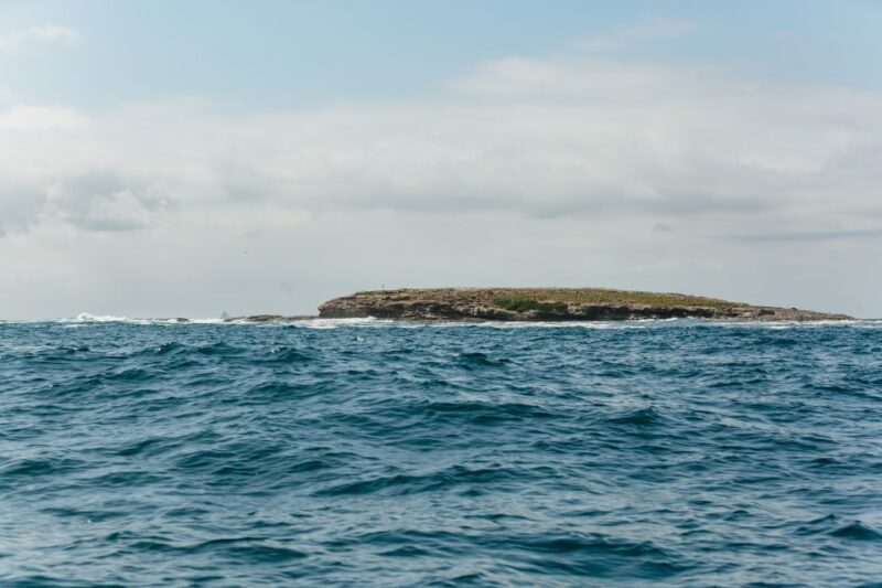 Coastal 2.5-hour Adventure Boat Tour from Newcastle - Final Thoughts: Is It Worth It?