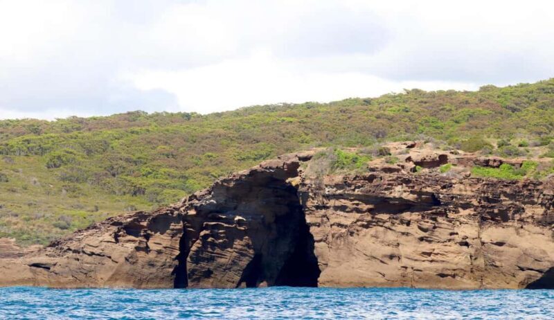 Coastal Boat Tour from Lake Macquarie - An In-Depth Look at the Coastal Boat Tour Experience
