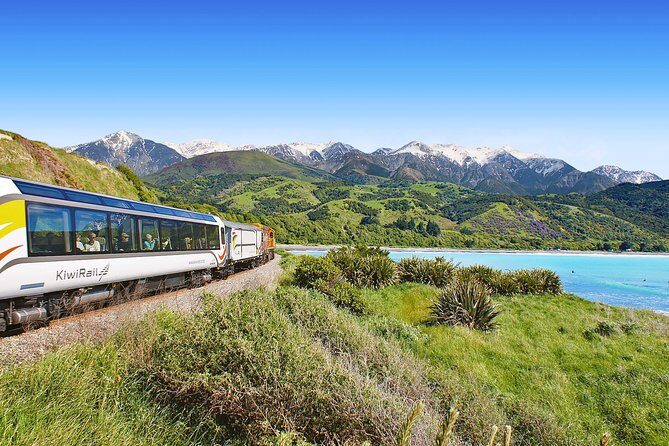 Coastal Pacific Train Journey from Christchurch to Picton - The Itinerary: What to Expect from Christchurch to Picton