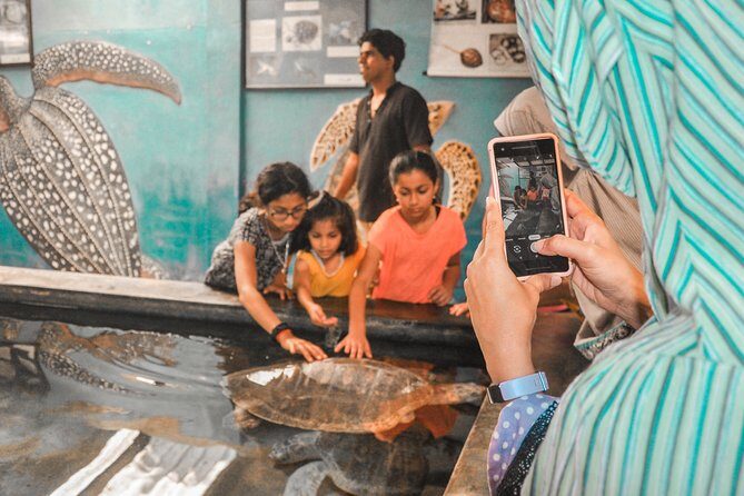 Coastal Ride to Galle from Colombo - Practical Details and Value