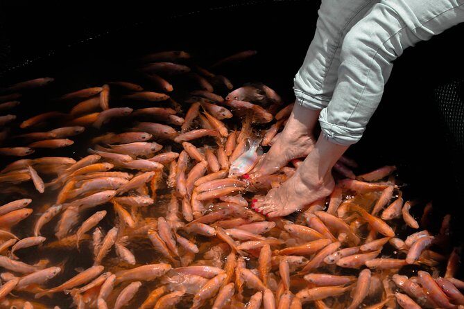 Coastal Ride to Galle from Colombo - FAQ