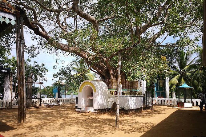 Coastal Ride to Galle from Colombo Seaport - Authentic Experiences and Value