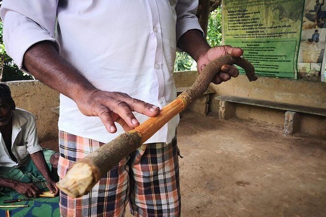 Coastal Ride to Galle from Colombo Seaport - Who Should Consider This Tour?