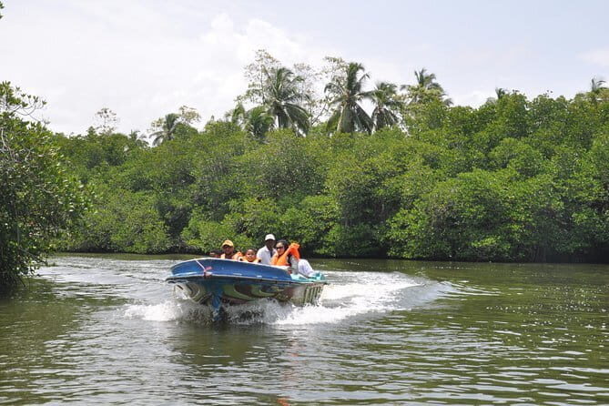 Coastal Ride to Galle from Negombo - Key Highlights of the Tour
