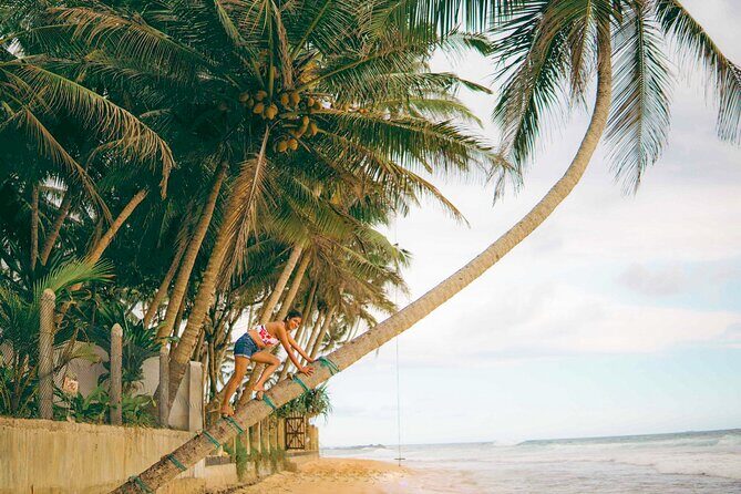 Coastal Ride to Galle from Wadduwa - An Overview of the Experience