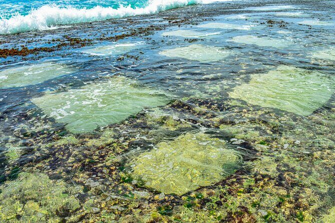 Coastal Ride to Galle from Wadduwa - Who Will Love This Tour?