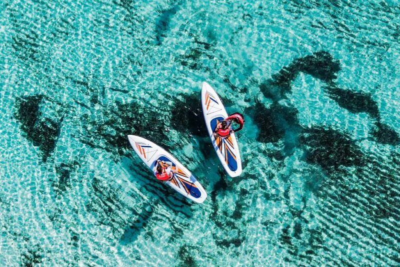 Coastal Thrill Day: Kayak, Paddle & Snorkel at Cozumel - The Practical Side: Logistics, Timing, and Tips