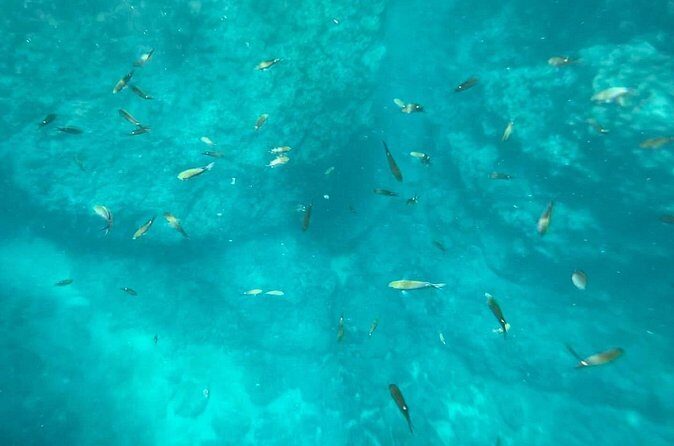 Coastal Tour in Punta Mita: Scenic Landscapes and Snorkeling - Pricing and Value