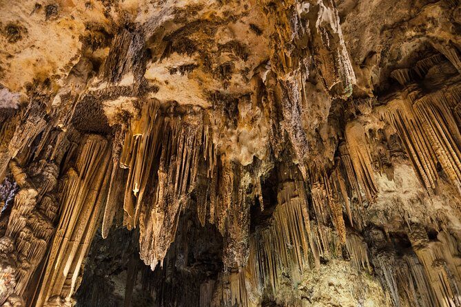 Coasts and Mountains: Nerja to Frigiliana with Nerja Caves Small-Group Day Trip - Value for Money: Is It Worth $318?