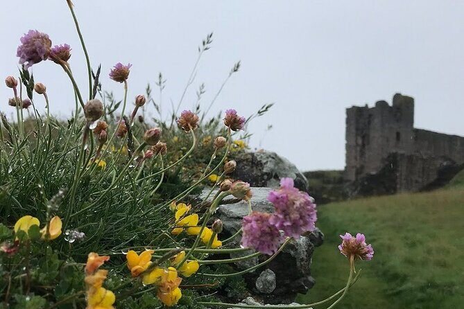 Coasts & Ghosts: Haunted Northumberland - Chillingham Castle - Why This Tour Offers Good Value