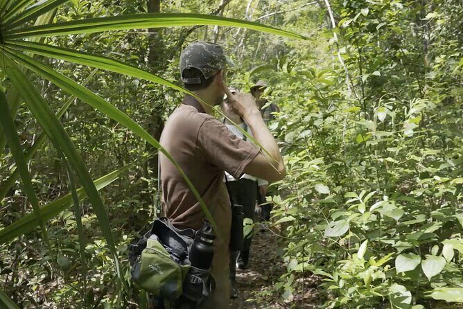Coba and Punta Laguna Guided Birdwatching Private Tour - FAQs