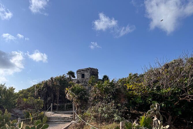 Coba and Tulum 2 Cenotes 100% Private Tour - Who Should Consider This Tour?