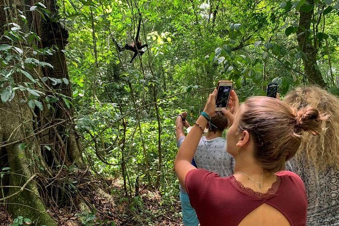 Coba & Monkey Sanctuary Punta Laguna Private Tour - The Sum Up