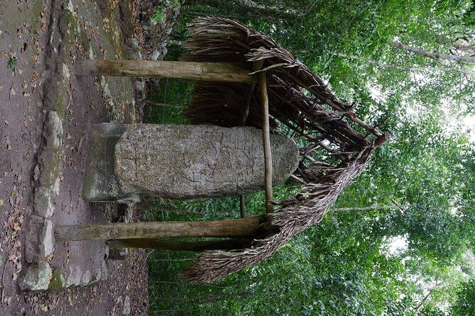 Cobá Ruins Mayan Village and Cenote Tour from Riviera Maya - Pricing and Value