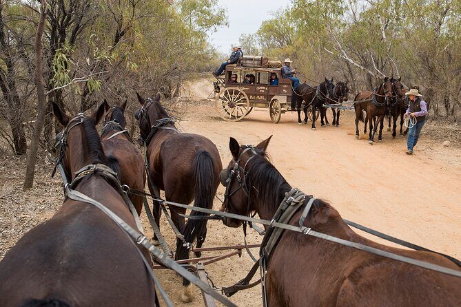 Cobb & Co Stagecoach Experience in Longreach - The Sum Up: Who Will Love the Cobb & Co Experience?
