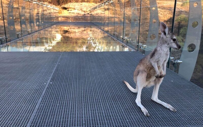 Cobbold Gorge 3 hour tour - Practical Tips for Your Visit