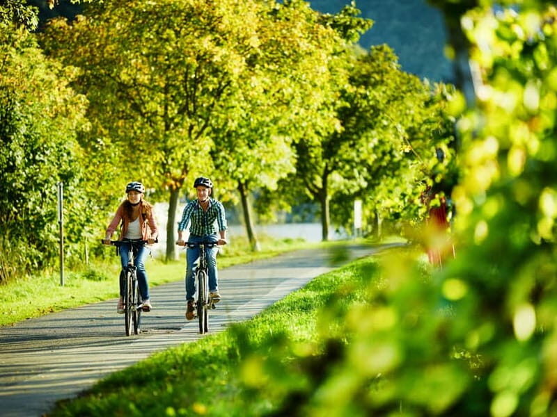Cochem: Bike and Boat Tour with Picnic and Wine Tasting - Key Points