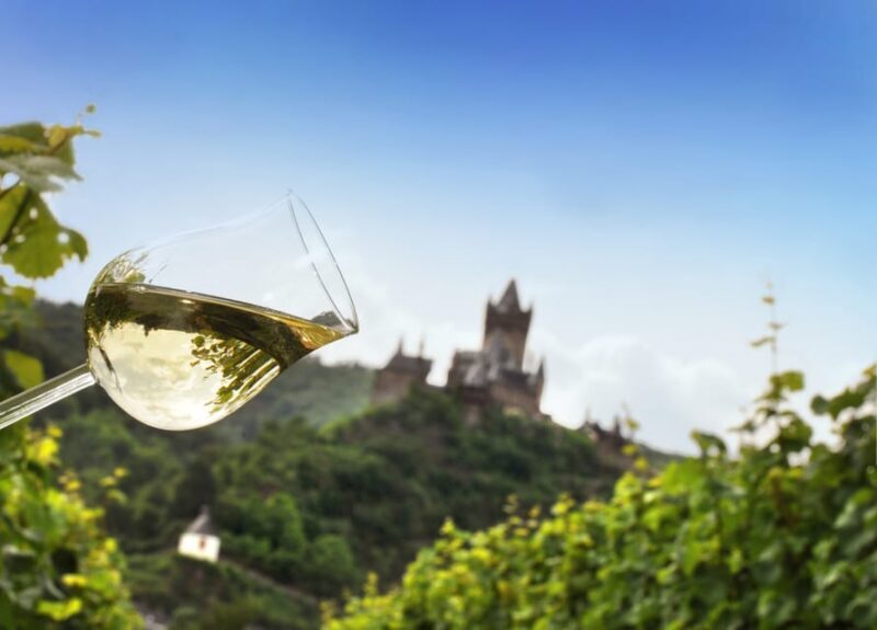 Cochem, Mosel: Mit dem Kanu zum Winzer - Who Will Enjoy This Tour?