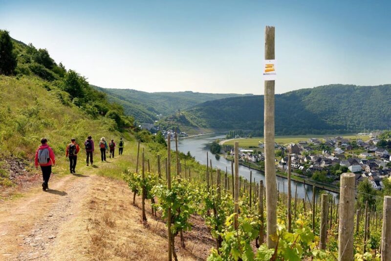 Cochem, Moselle: Wine experience hike with boat - The Itinerary: A Closer Look
